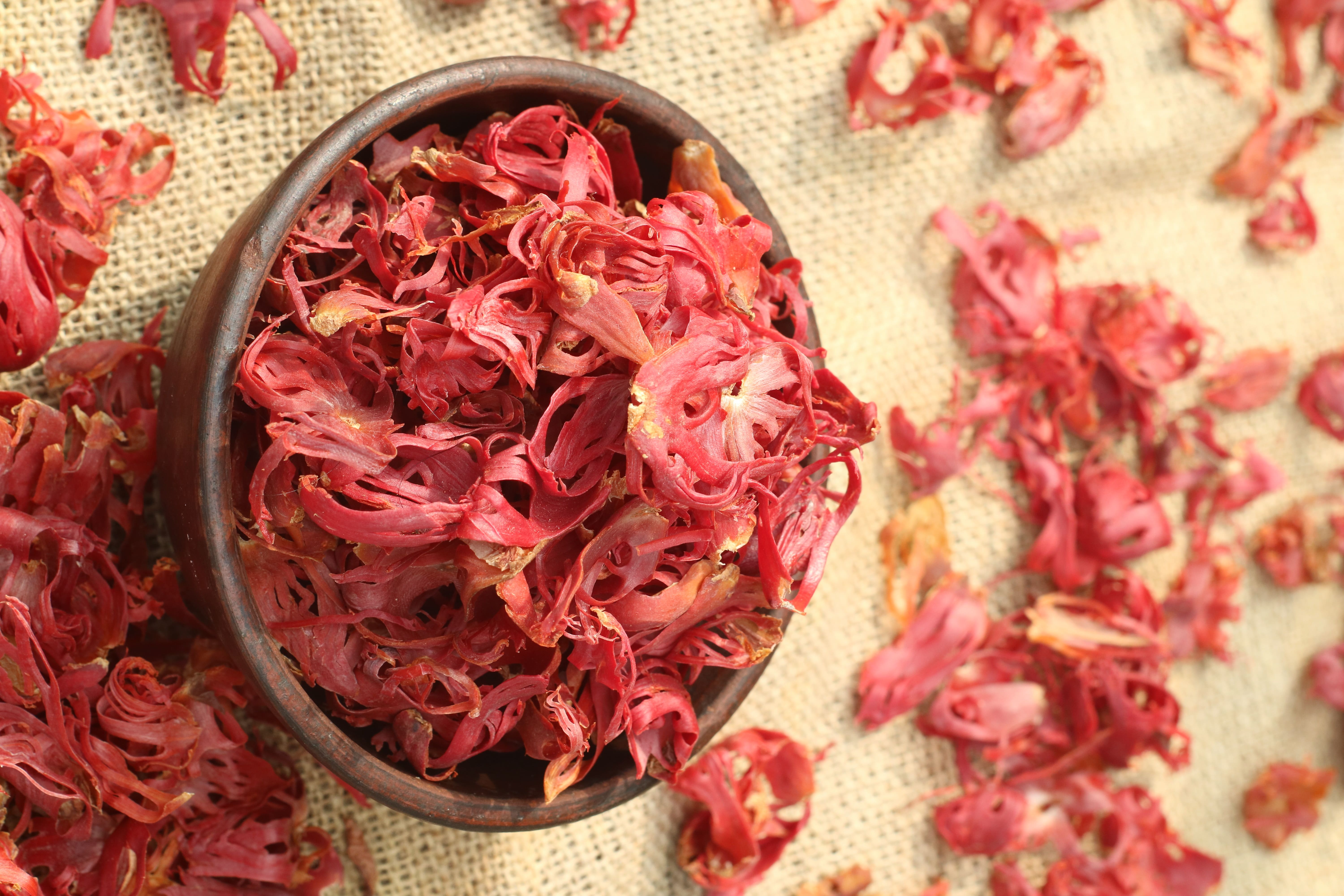 PT. GAMMA | PRODUCTS