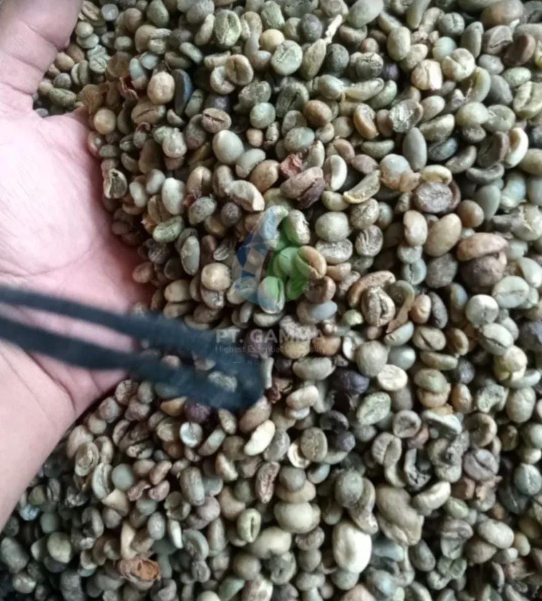 PT. GAMMA | PRODUCTS